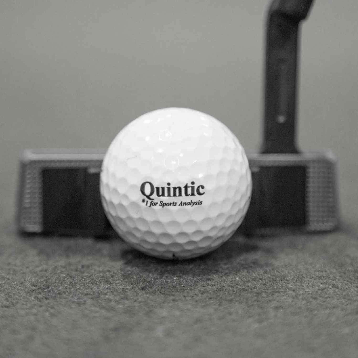Quintic Products - Quintic Consultancy Invoice